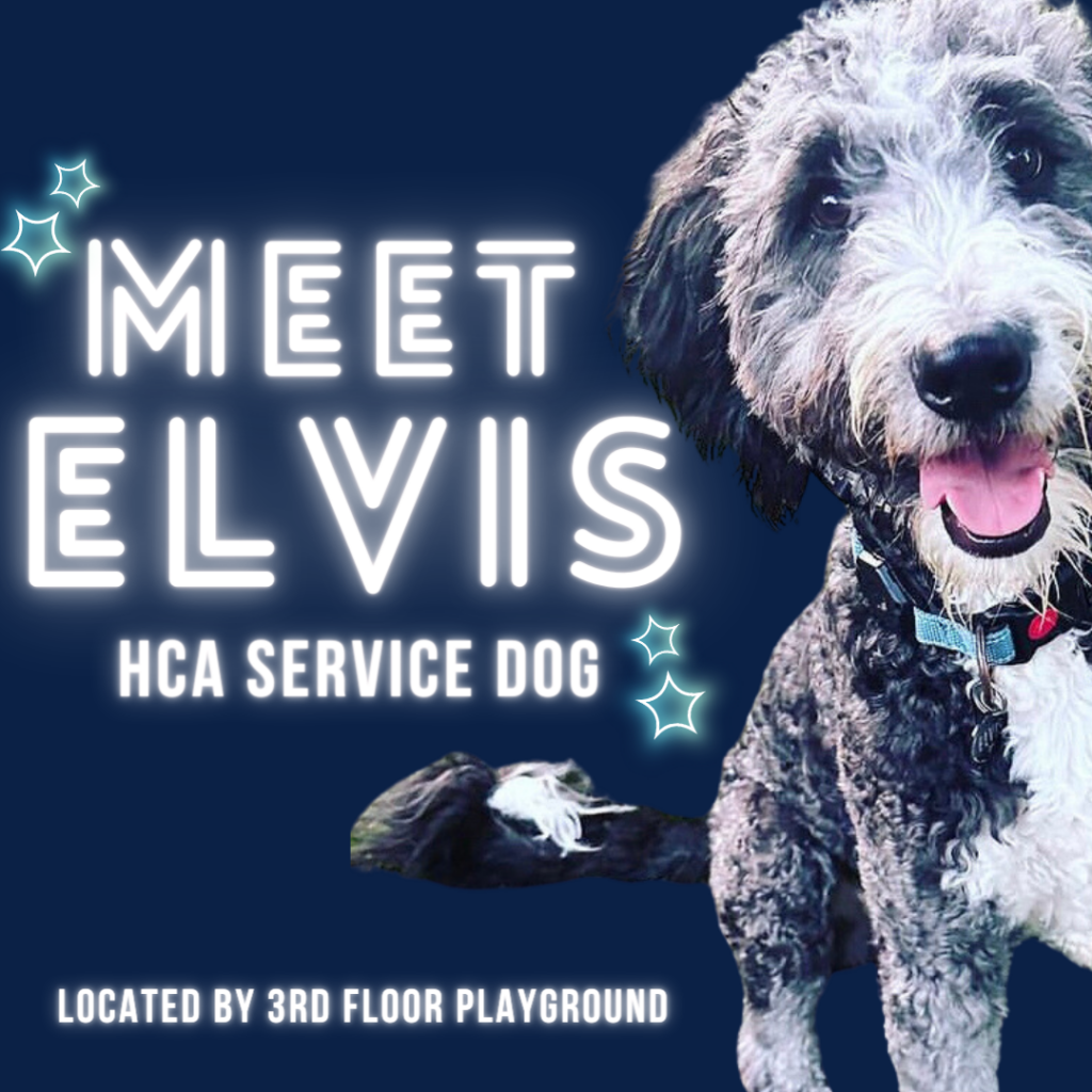 Java Jam – Harvest Christian Academy